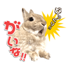 cocochan_20230220222948 – Stickers LINE | LINE STORE