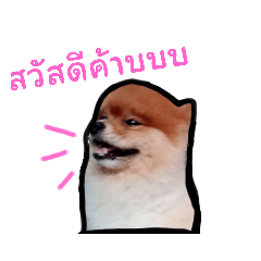 Gunnn_20230220201425 - LINE スタンプ | LINE STORE