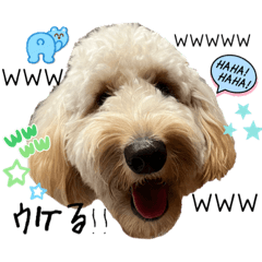 Emama_20230221133723 - Stiker LINE | LINE STORE