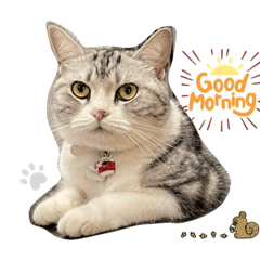 Master Chifu v.1 - Stiker LINE | LINE STORE