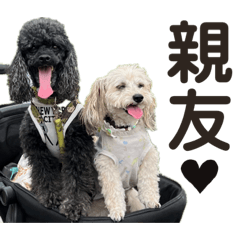 Airish_20230222145252 – สติกเกอร์ LINE | LINE STORE