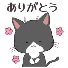 Hachiware Konbu – LINE stickers | LINE STORE