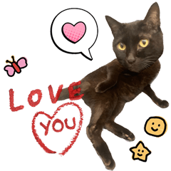 Chalo Tsai_20230223191433 – LINE stickers | LINE STORE