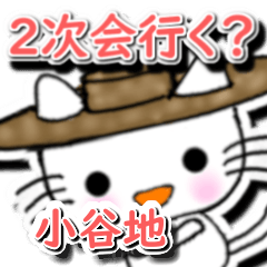 Koyachi's Party Contact – สติกเกอร์ LINE | LINE STORE