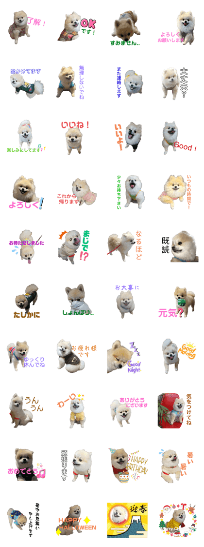 【スタンプ無料GET!】 ポメラニアン タッチ2｜ Stampick! （スタンピック）