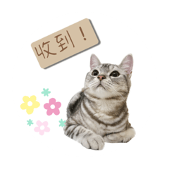 meiii_20230301203109 - Stiker LINE | LINE STORE
