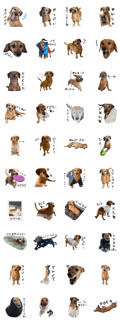 【スタンプ無料GET!】 りくにっき #1｜ Stampick! （スタンピック）