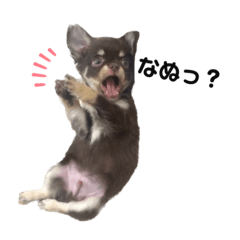 Lulu stamp 1010 - Stiker LINE | LINE STORE