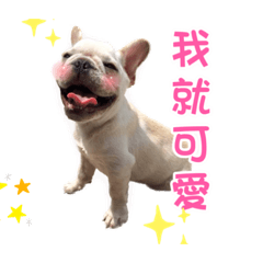 Da ring_20230304033707 – สติกเกอร์ LINE | LINE STORE