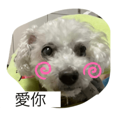 youjun_20230304122330 – LINE stickers | LINE STORE