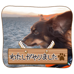 Lakiko_20230305192245 – LINE stickers | LINE STORE