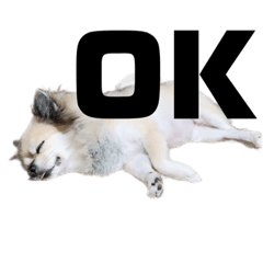 KOMU_20230306175648 - Stiker LINE | LINE STORE