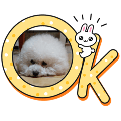 Sherry_20230309170854 – Stickers LINE | LINE STORE