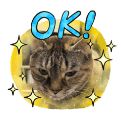 ネコマムシch2 - LINE スタンプ | LINE STORE