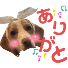 SUZUME_20230315154915 - Stiker LINE | LINE STORE