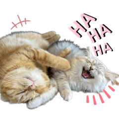 menro_20230317224907 - Stiker LINE | LINE STORE