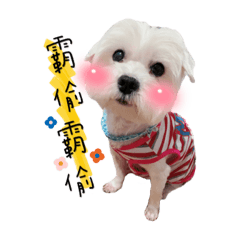GUAN-TOU_20230318211651 – LINE stickers | LINE STORE
