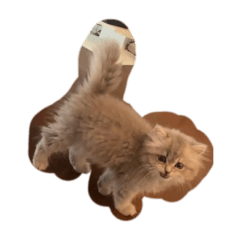 FfG ceo_20230320000625 - Stiker LINE | LINE STORE