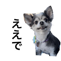 moco_1019 – LINE stickers | LINE STORE