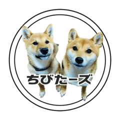 ontan_20230321225855 – LINE貼圖 | LINE STORE