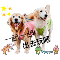 央央vs milo – LINE貼圖 | LINE STORE