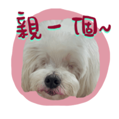 Lin,Yung-EN_20230323134337 - Stiker LINE | LINE STORE