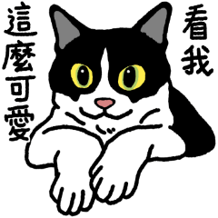 Aru the cat – LINE stickers | LINE STORE
