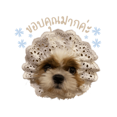 CoCo sticker collection 01 - LINE スタンプ | LINE STORE