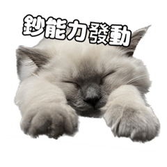 Ken_20230330210330 - Stiker LINE | LINE STORE