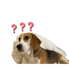 nori_20230331014440 – LINE stickers | LINE STORE