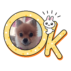 latie latie – สติกเกอร์ LINE | LINE STORE