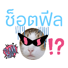 Cey Cey Encouraging words – LINE stickers | LINE STORE
