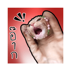 RG CAT ALEX – LINE貼圖 | LINE STORE