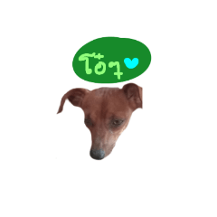 Akanit_20230404134428 - LINE スタンプ | LINE STORE