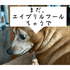 MIKEMIKE_20230404153857 – LINE貼圖 | LINE STORE