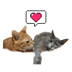 Rowoon Momo stickers - LINE スタンプ | LINE STORE