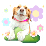 Mootoo The Meme V.2 – LINE stickers | LINE STORE