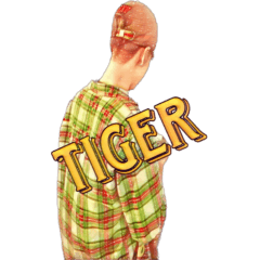 the Tiger__001 – LINE stickers | LINE STORE