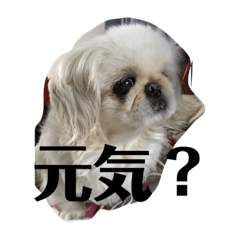 スーパーみう - LINE スタンプ | LINE STORE