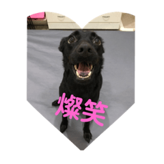 Leveret_20230409100806 – LINE stickers | LINE STORE