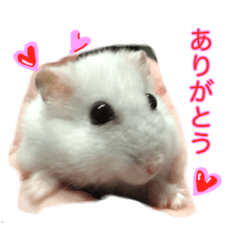 ADHD_rabbit_20230410164706 – LINE stickers | LINE STORE