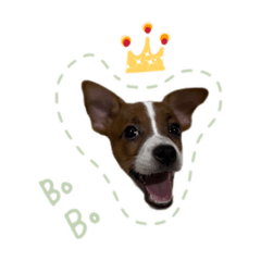 Babe._.Bobo - Stiker LINE | LINE STORE