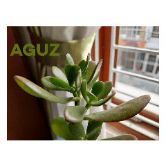 all hail oil king – LINE stickers | LINE STORE