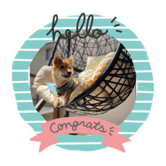 mameshiba reo – LINE stickers | LINE STORE