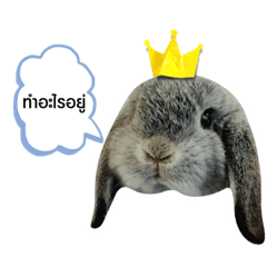 Tice_20230415154703 – LINE stickers | LINE STORE