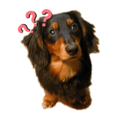 ITSC_20230415203036 – LINE stickers | LINE STORE