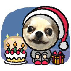 Shan shan_20230420005313 - LINE スタンプ | LINE STORE