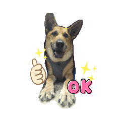 Xia Tilla Billa – LINE stickers | LINE STORE
