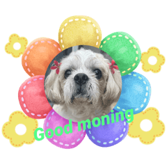 Chinjung pretty_20230421090003 – LINE stickers | LINE STORE