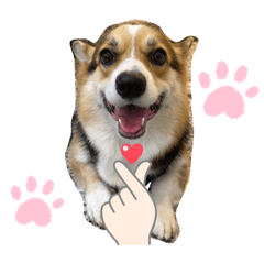 Zhong jia en - LINE スタンプ | LINE STORE